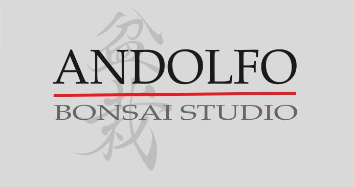 Shin Gyō Sō - L’importanza dello stile per una coerenza estetica - andolfo